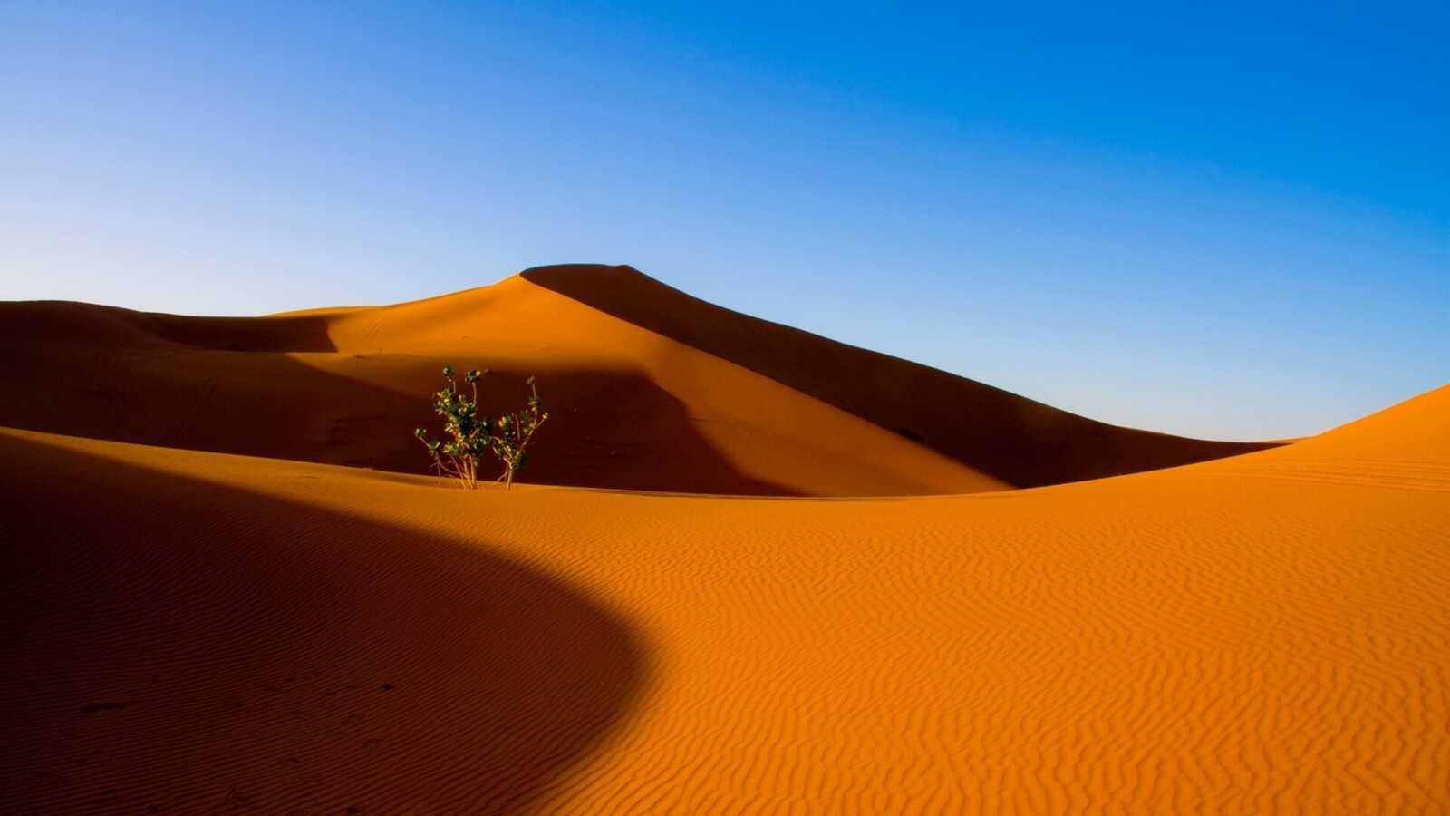 Desert Wallpapers (131 images) - WallpaperCat