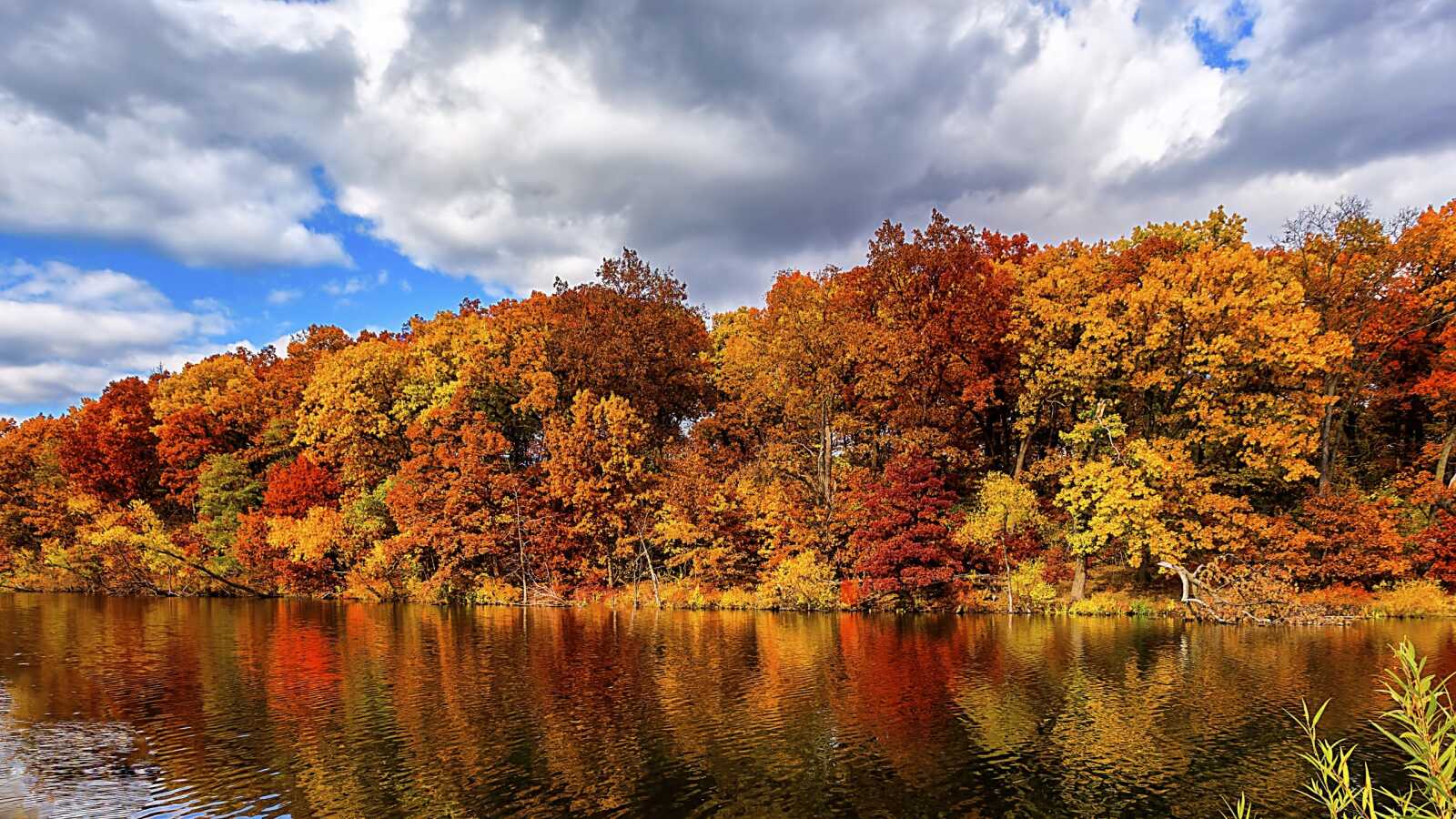 Indiana Wallpapers (21 images) - WallpaperCat