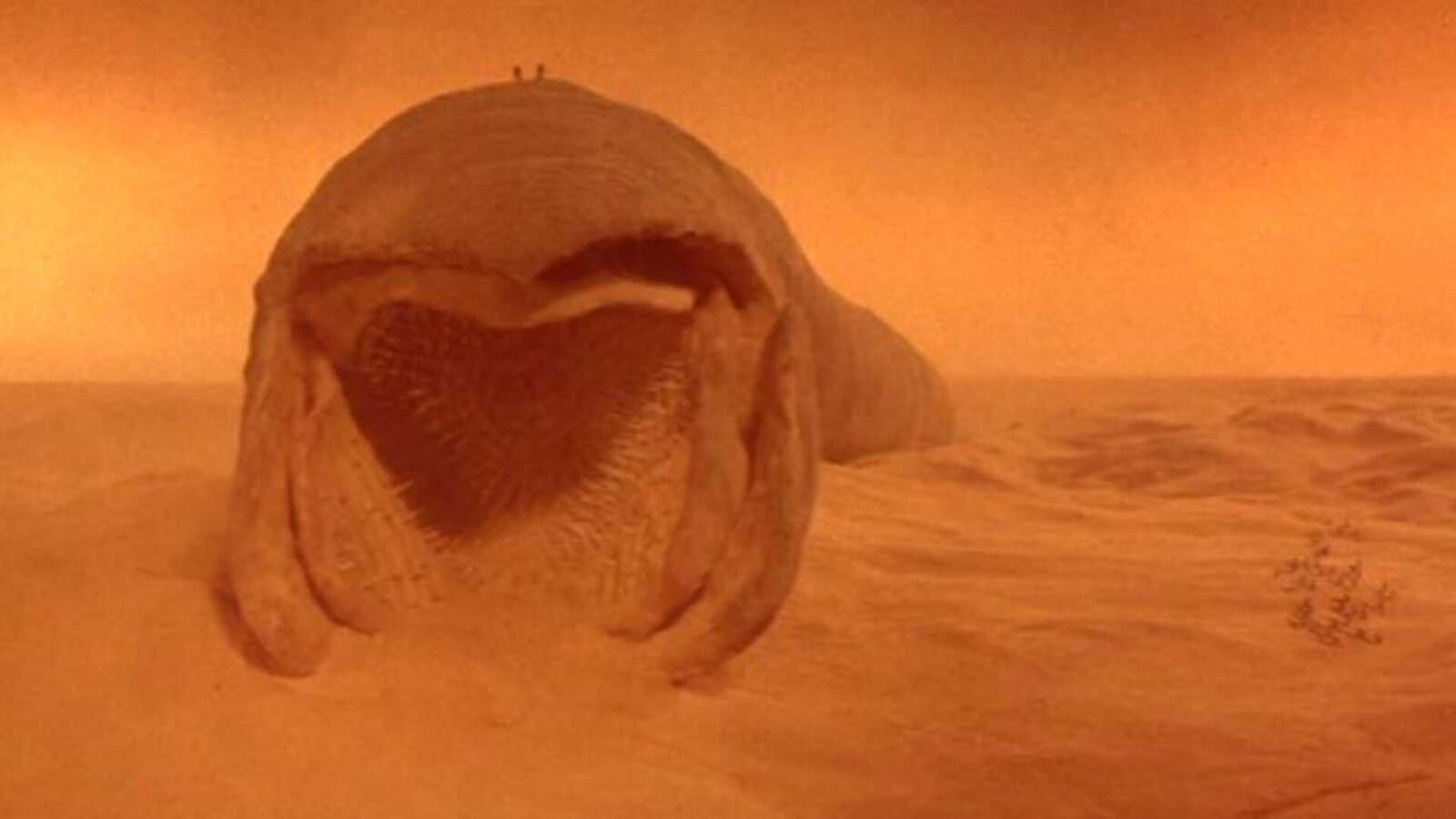 Dune Worm Wallpapers (19 images) - WallpaperCat