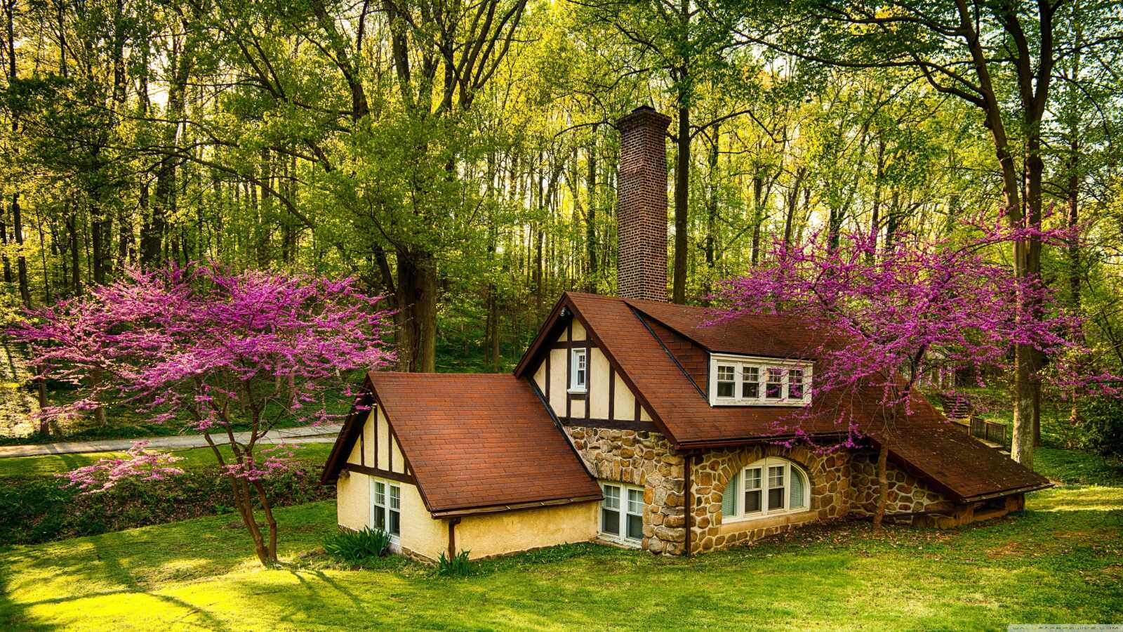 House Wallpapers (51 images) - WallpaperCat