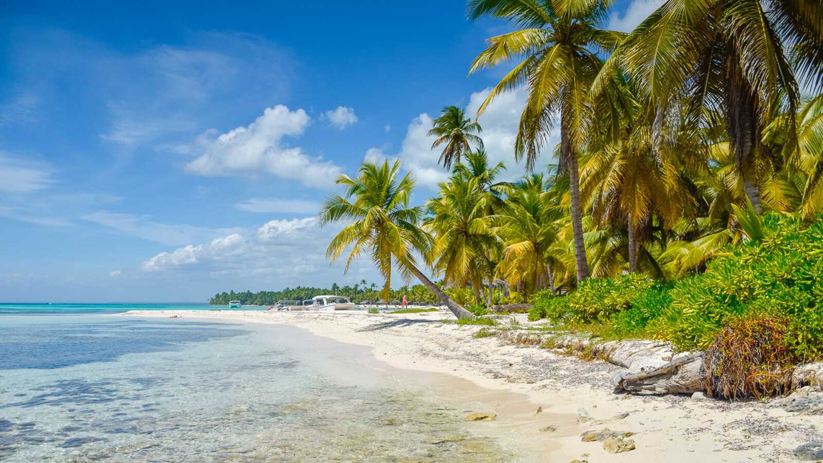 Dominican Republic Wallpapers (32 images) - WallpaperCat