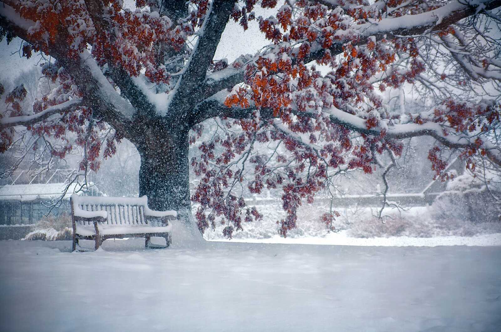 Snowfall Wallpapers (28 images) - WallpaperCat