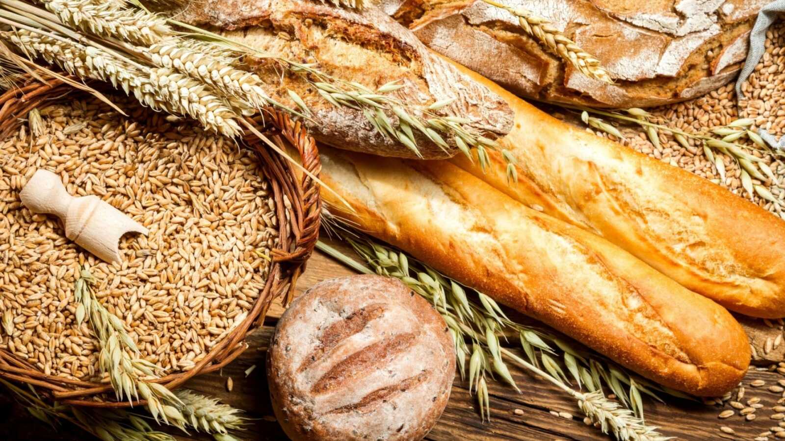 Bread Wallpapers (48 images) - WallpaperCat