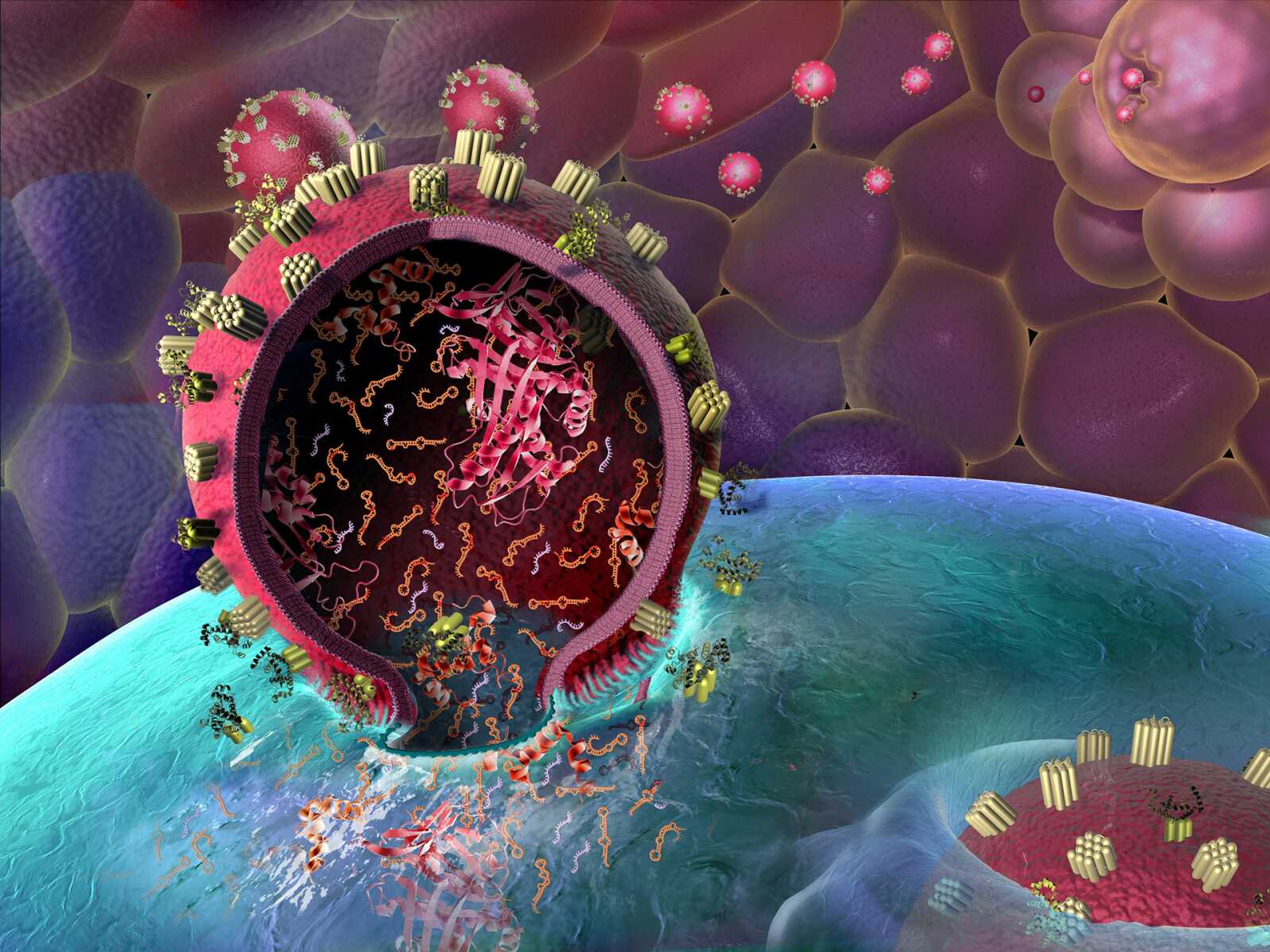 Biology Wallpapers (42 images) - WallpaperCat