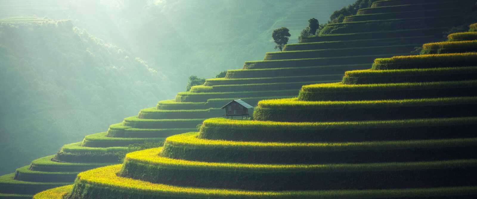 Asia Wallpapers (52 images) - WallpaperCat