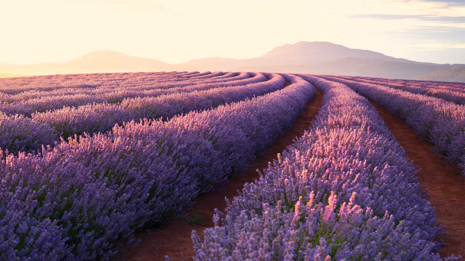 Farm Wallpapers (97 images) - WallpaperCat