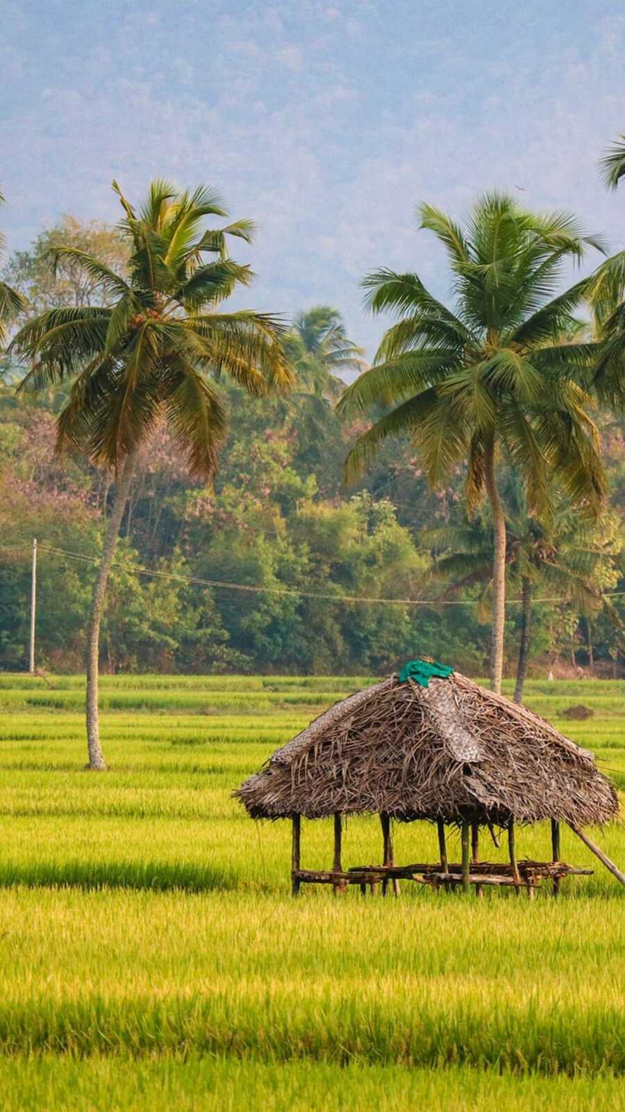 Kerala Wallpapers (43 images) - WallpaperCat