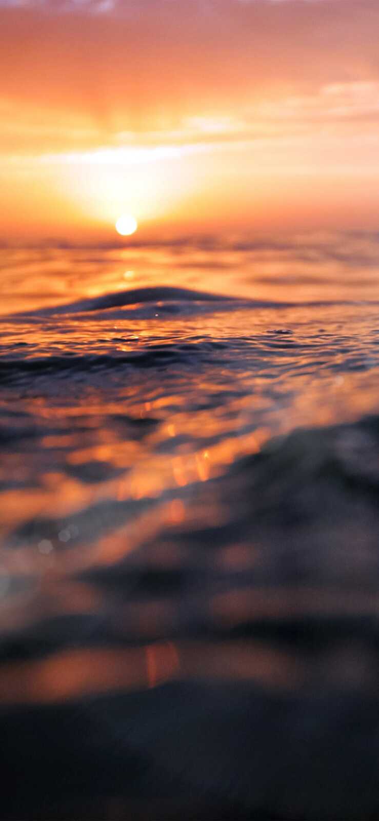 Sunset Wallpapers (124 images) - WallpaperCat