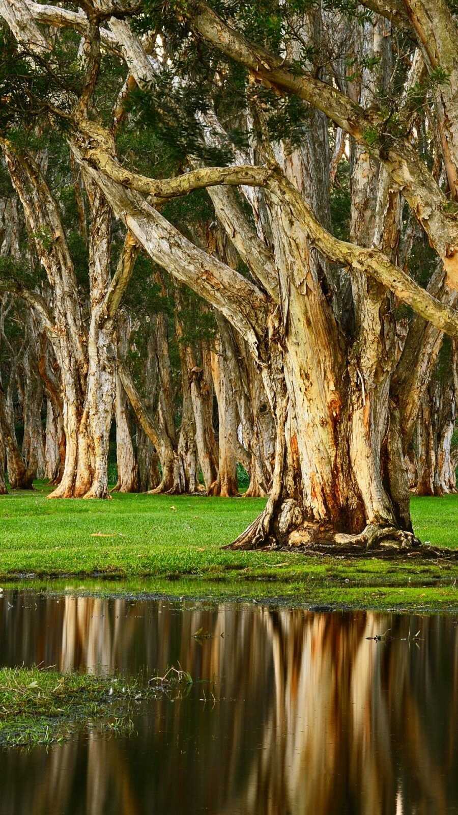 Park Wallpapers (32 images) - WallpaperCat