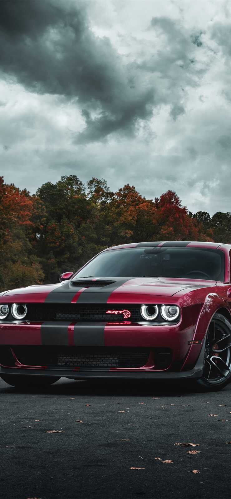 Hellcat Logo Wallpapers (36 images) - WallpaperCat
