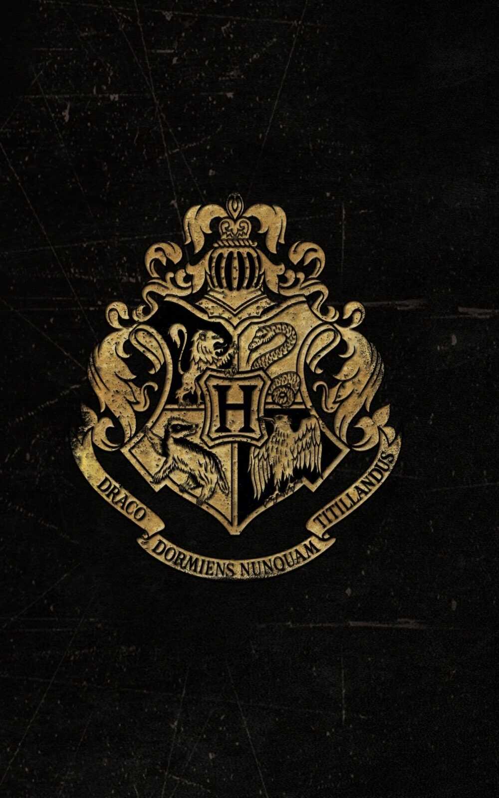 Hogwarts Crest Wallpapers (23 images) - WallpaperCat