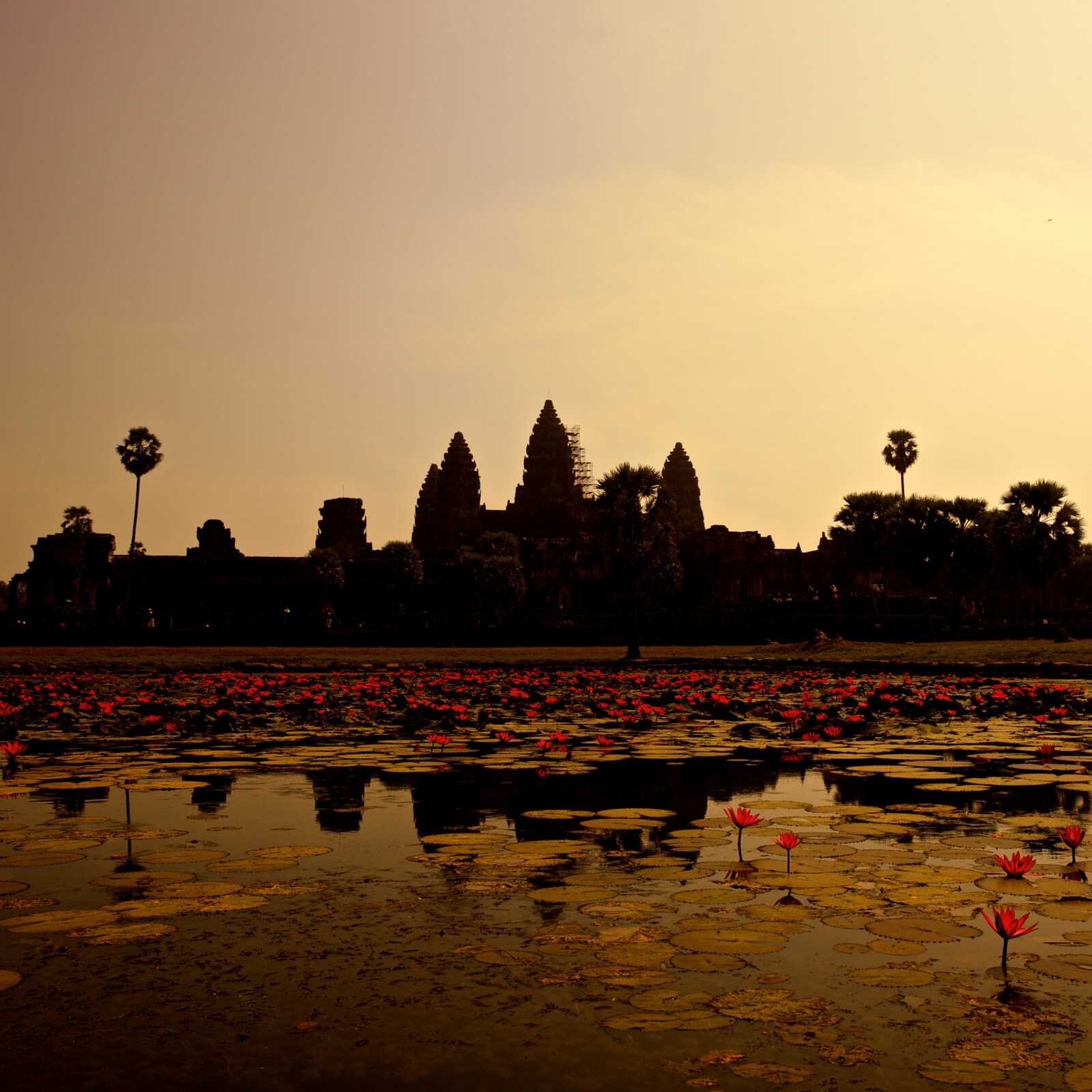 Angkor Wat Wallpapers (53 images) - WallpaperCat