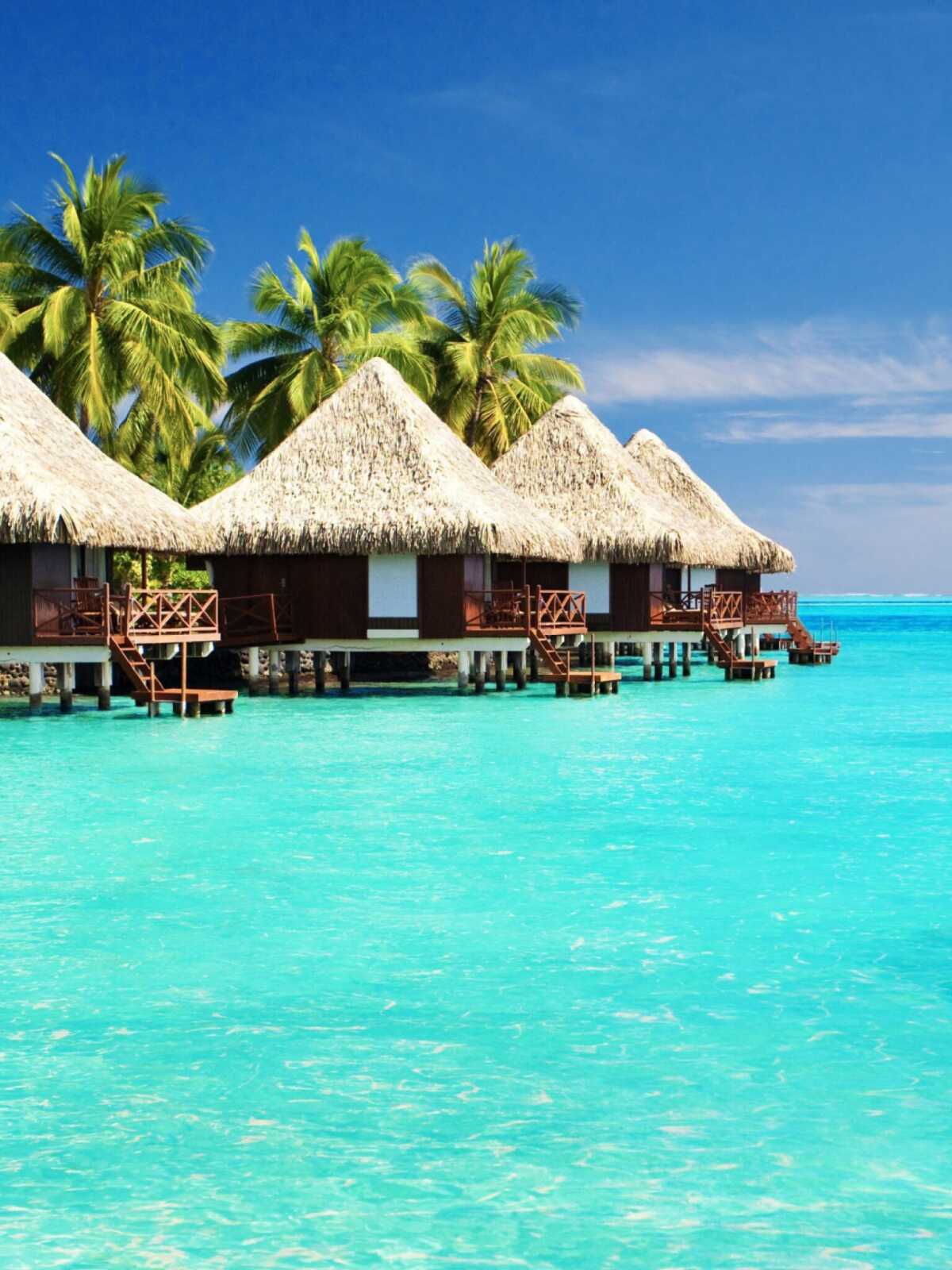 Summer Wallpapers (99 images) - WallpaperCat