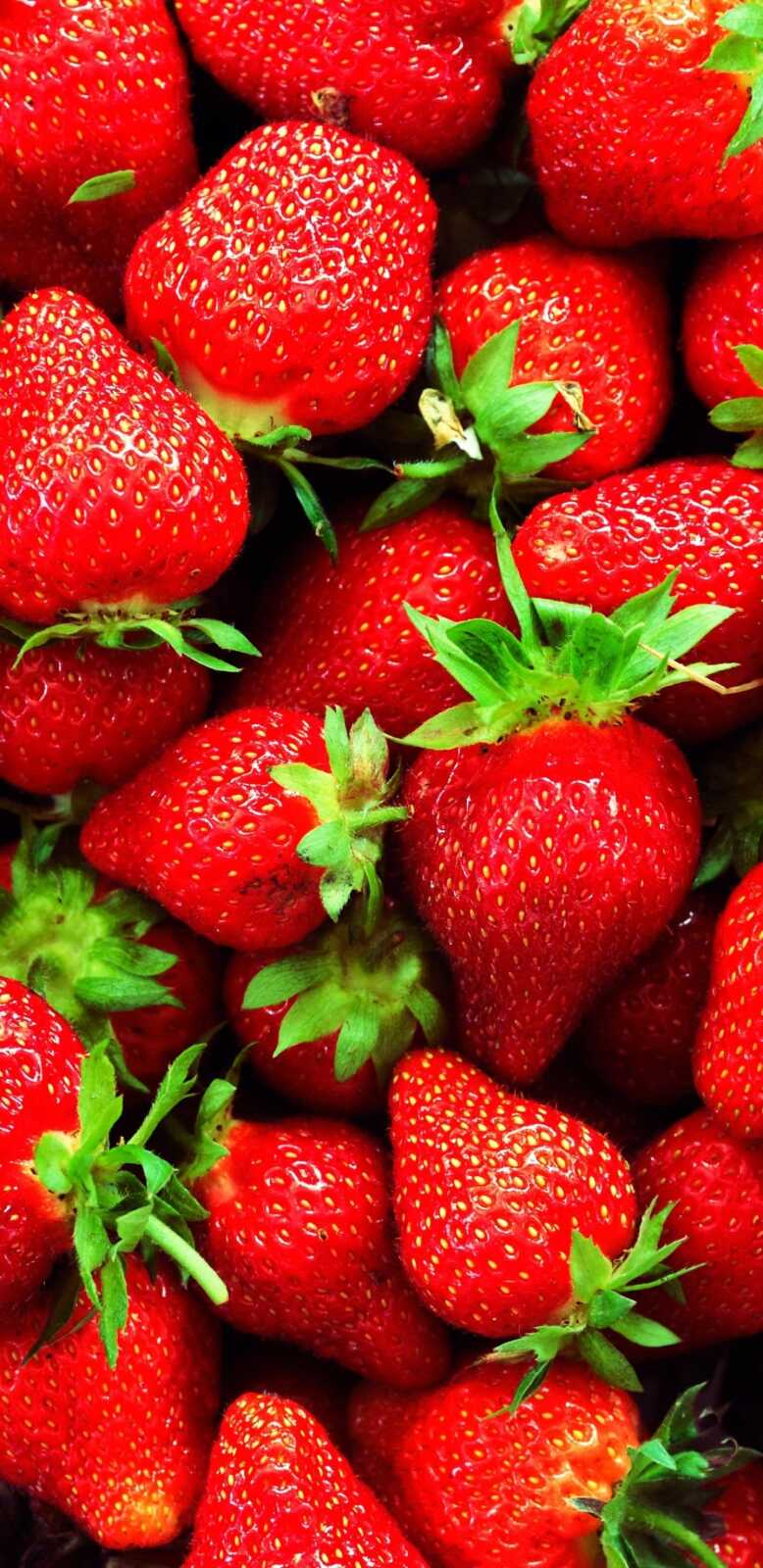 Strawberry Wallpapers (49 images) - WallpaperCat