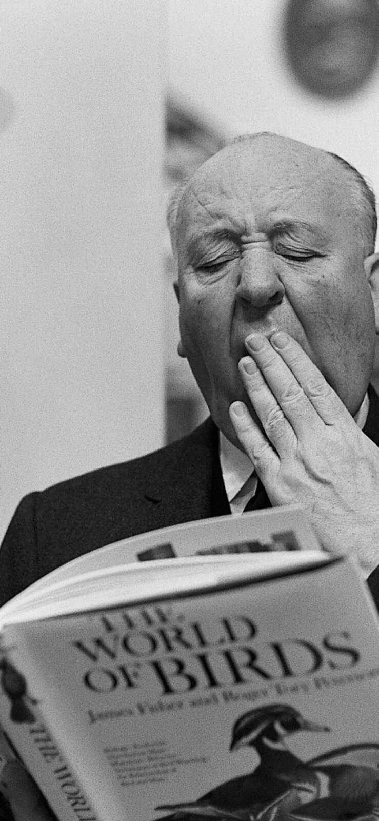 Alfred Hitchcock Wallpapers (49 images) - WallpaperCat