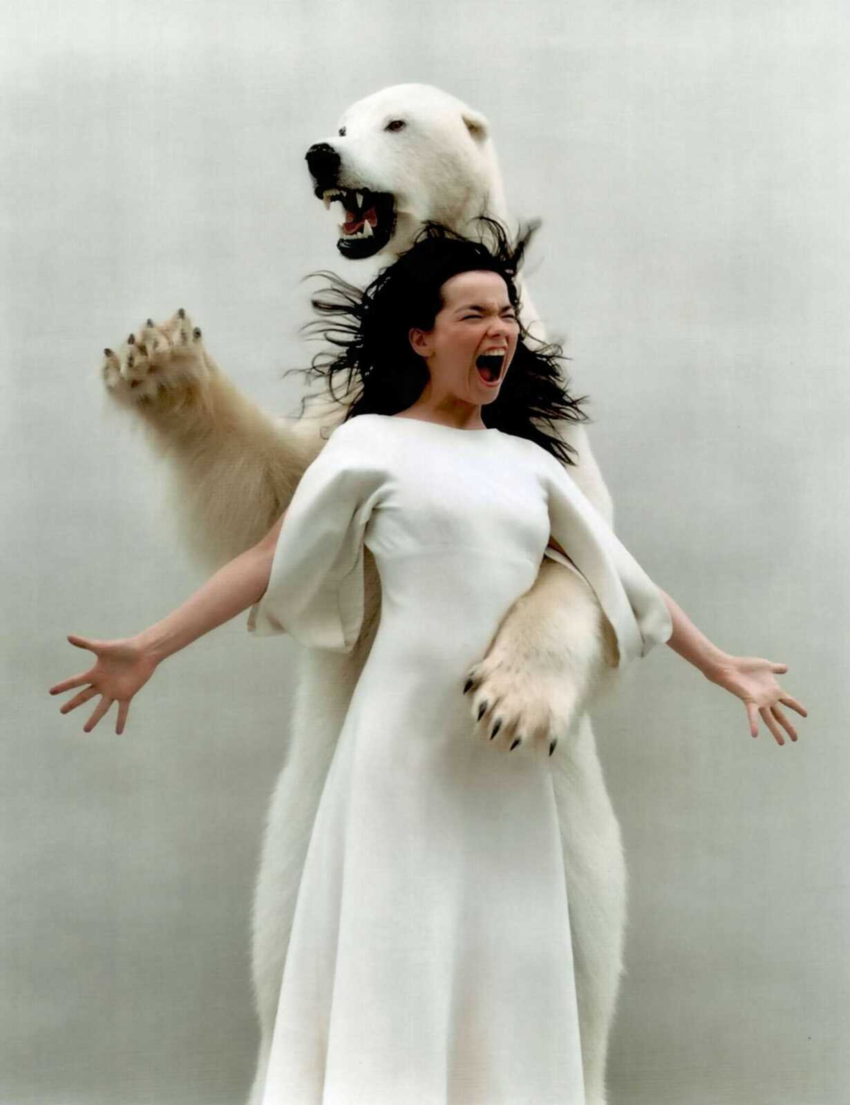 Bjork Wallpapers (27 images) - WallpaperCat