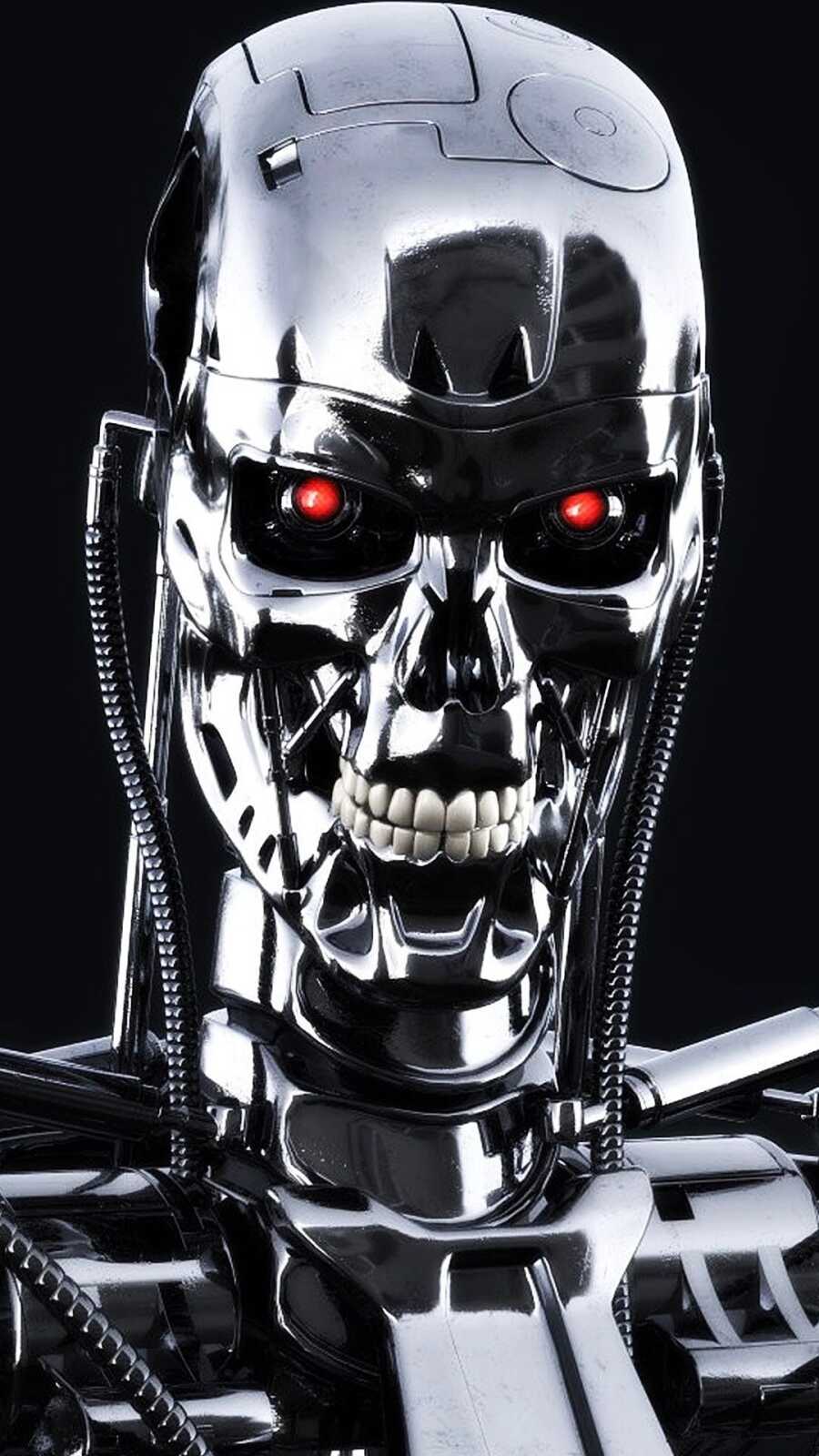The Terminator Wallpapers (36 images) - WallpaperCat
