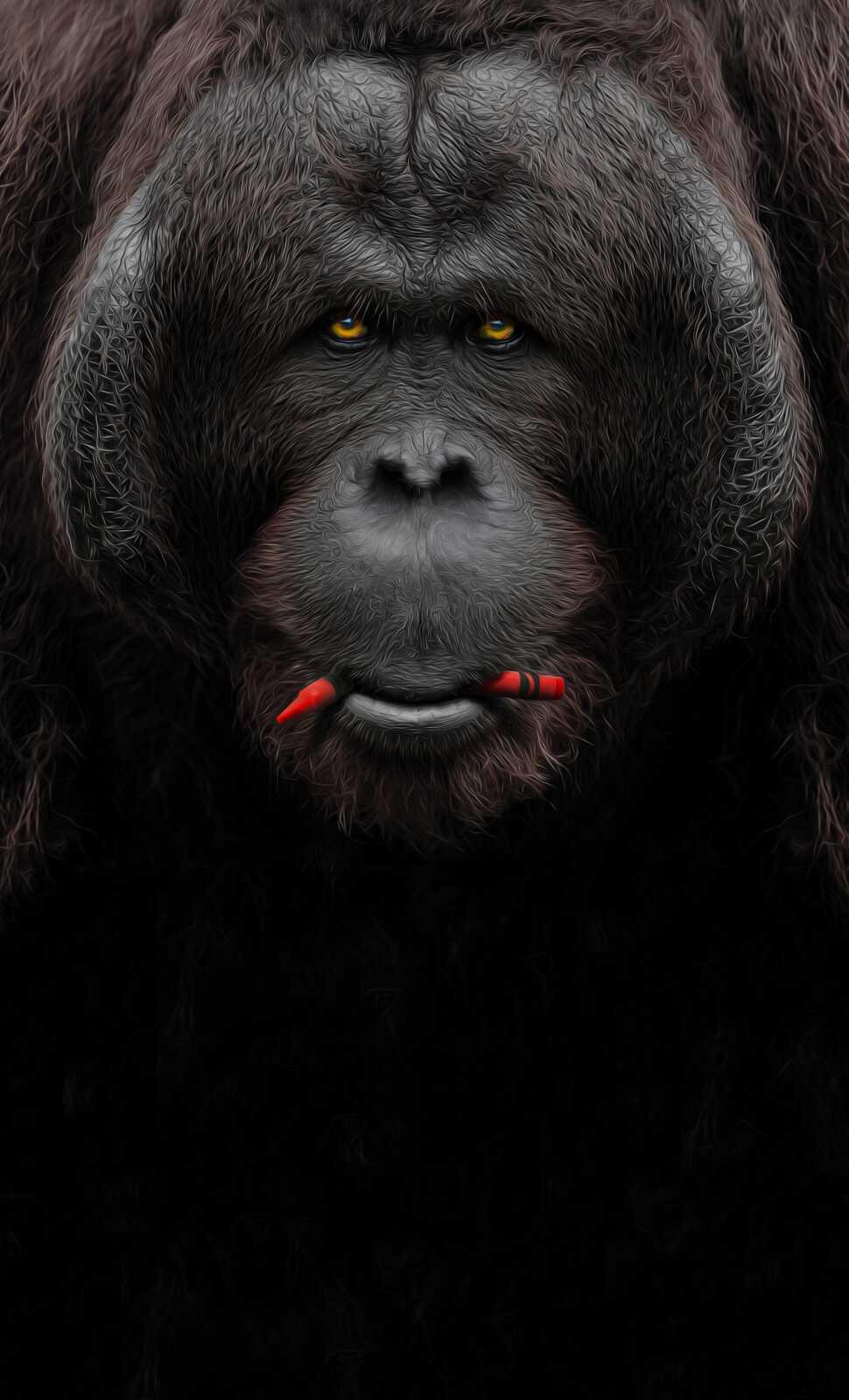 Ape Wallpapers (24 images) - WallpaperCat
