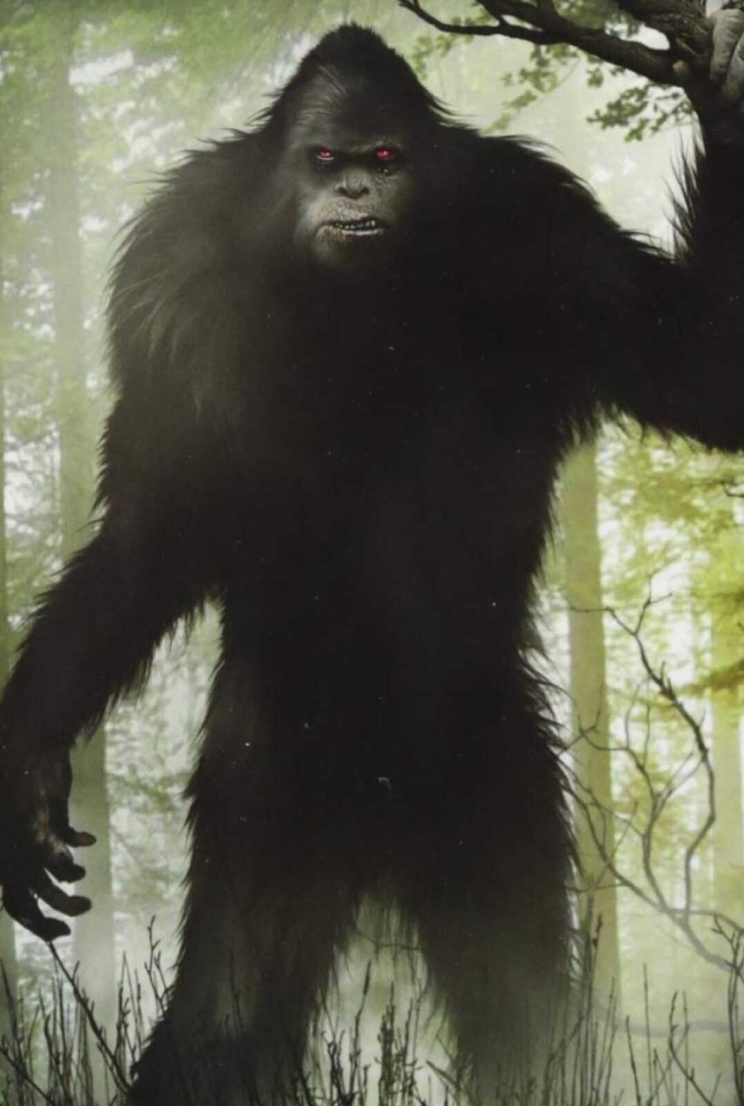Bigfoot Wallpapers (27 images) - WallpaperCat