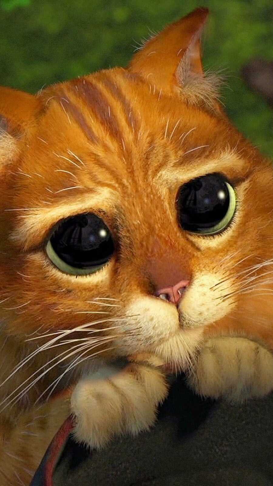 Shrek Wallpapers (42 images) - WallpaperCat