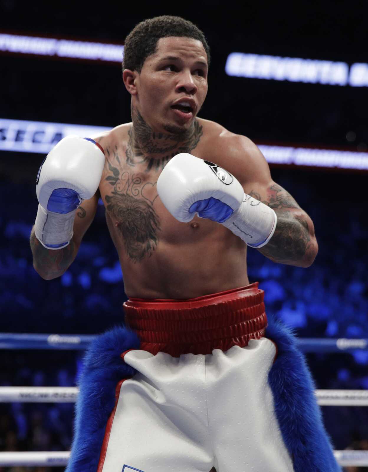 Gervonta Davis Wallpapers (18 images) - WallpaperCat