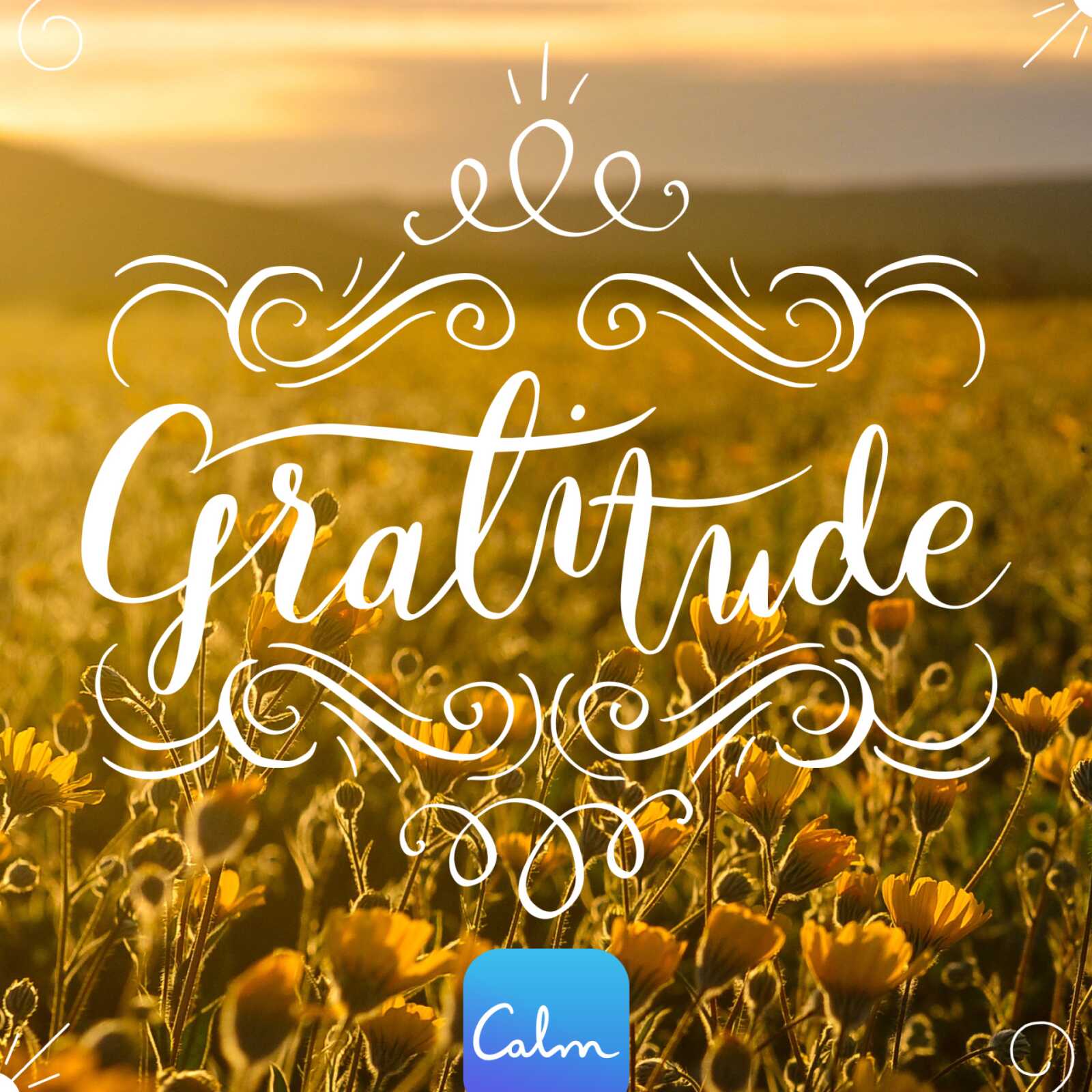 Gratitude Wallpapers (36 images) - WallpaperCat