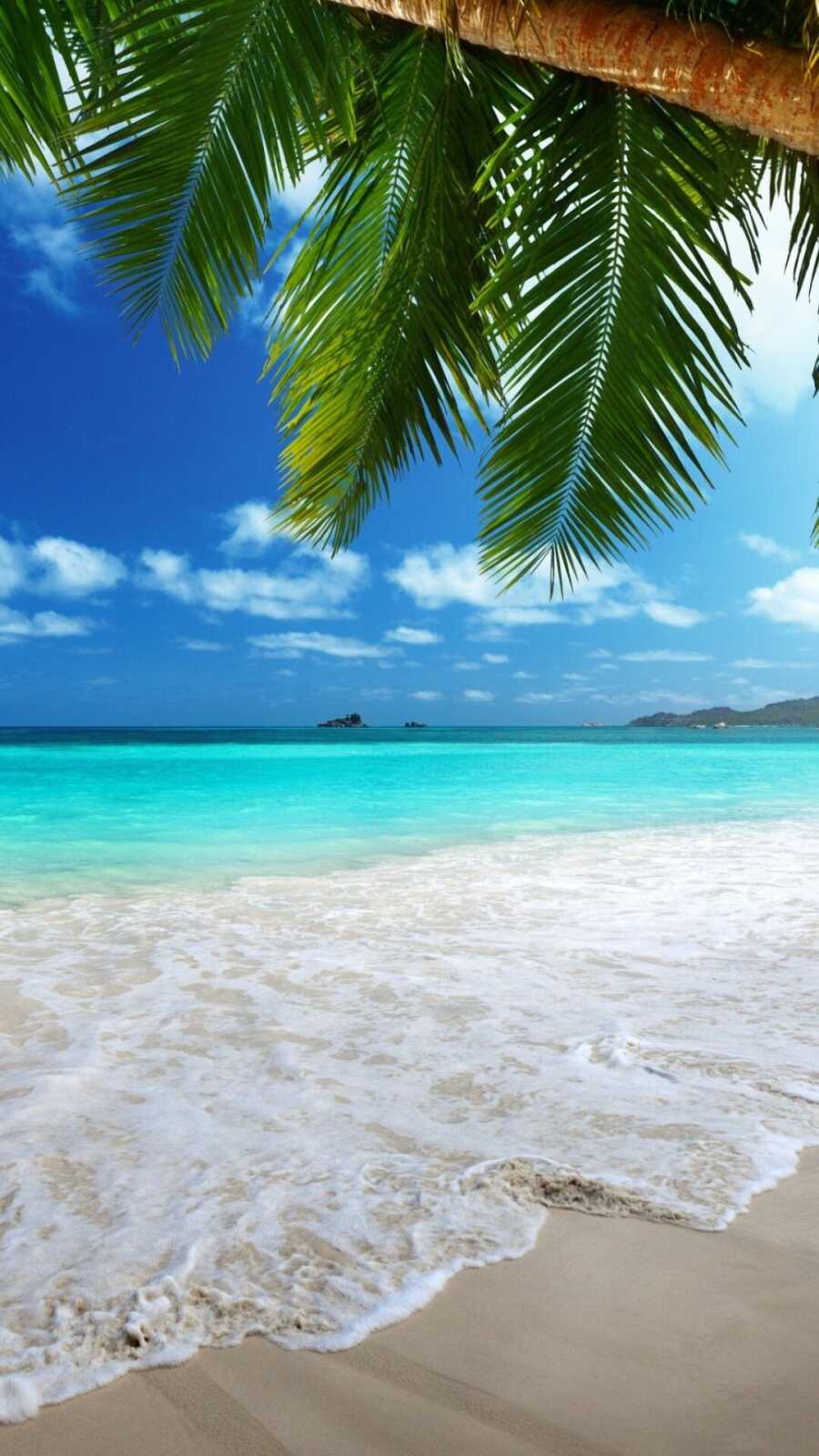 Beach Wallpapers (35 images) - WallpaperCat