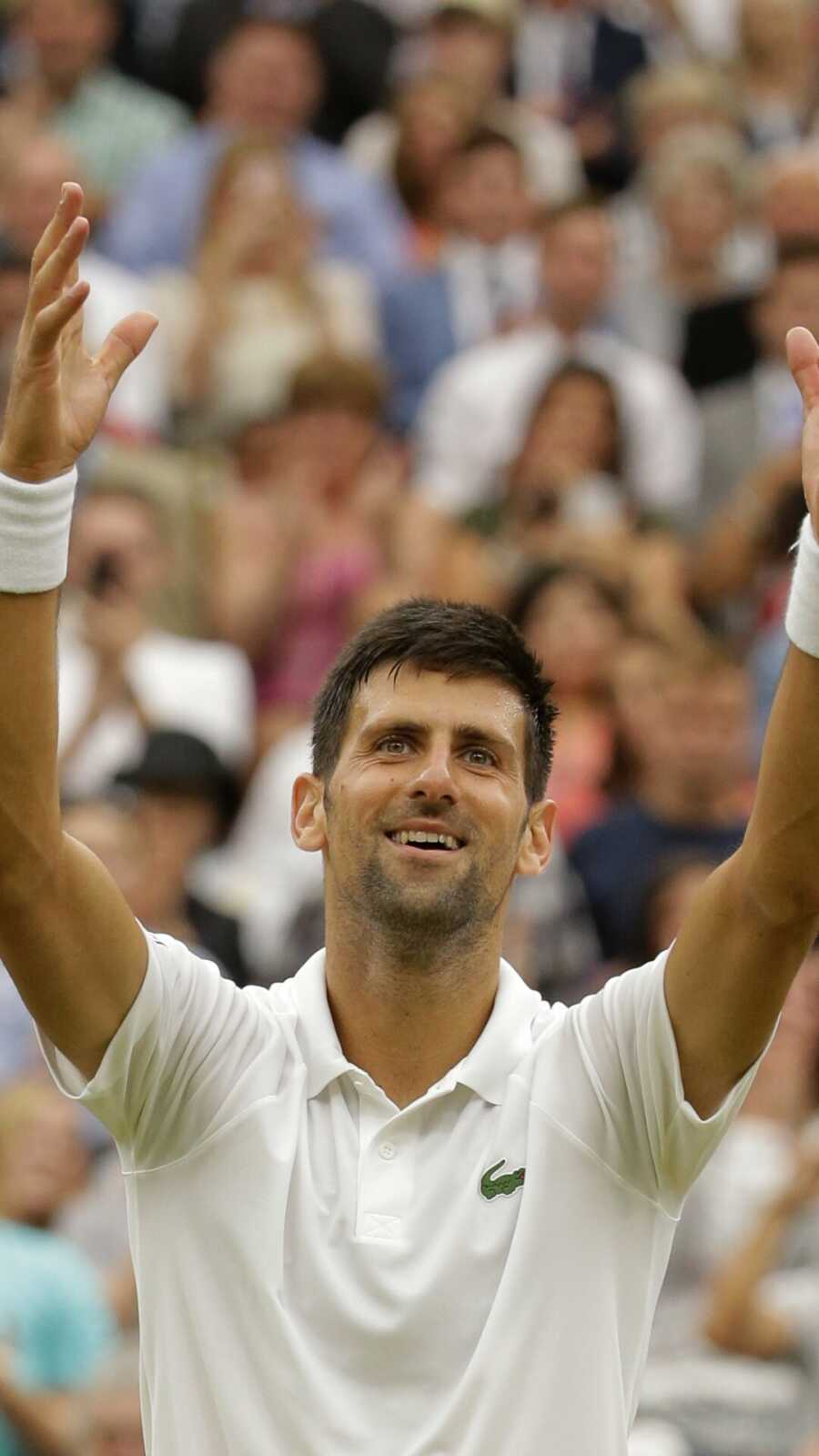Novak Djokovic Wallpapers (37 images) - WallpaperCat
