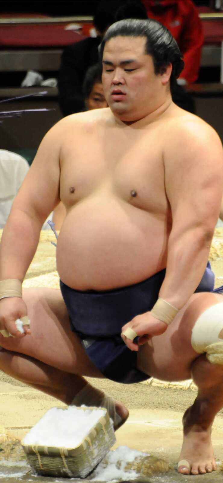 Sumo Wallpapers (29 images) - WallpaperCat