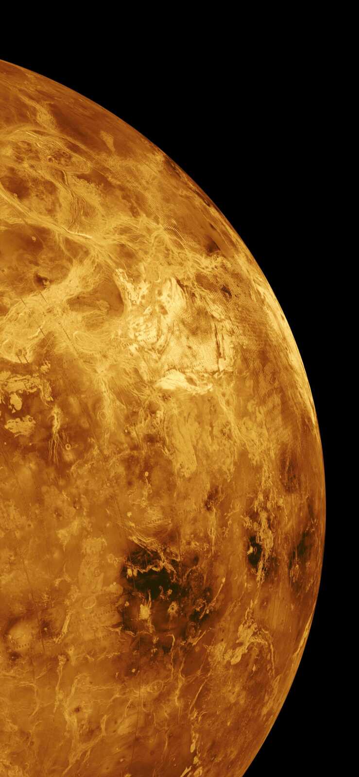 Venus Wallpapers (16 images) - WallpaperCat