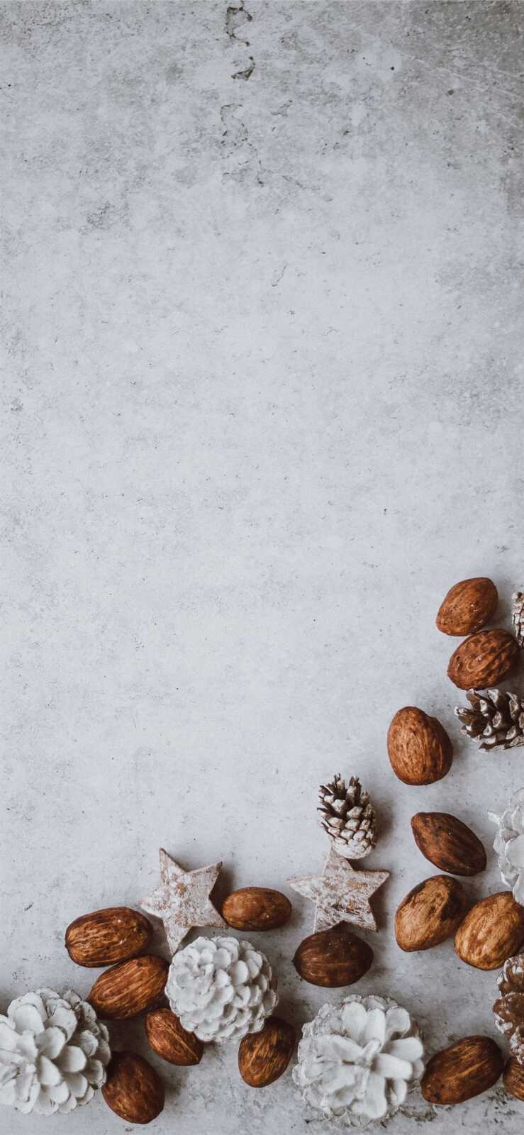 Nuts Wallpapers (58 images) - WallpaperCat