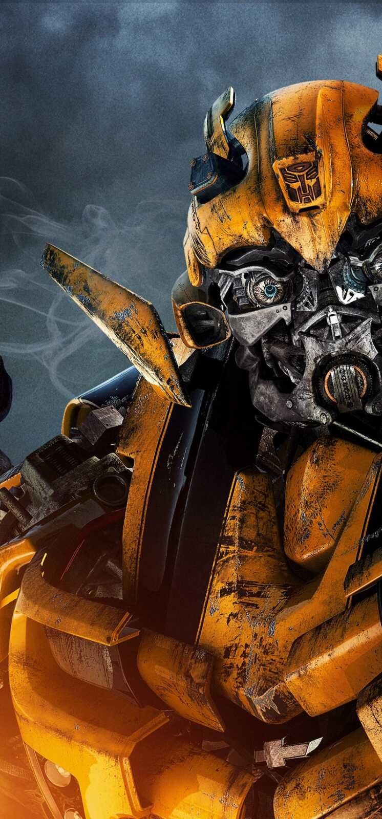 Bumblebee Wallpapers (30 images) - WallpaperCat