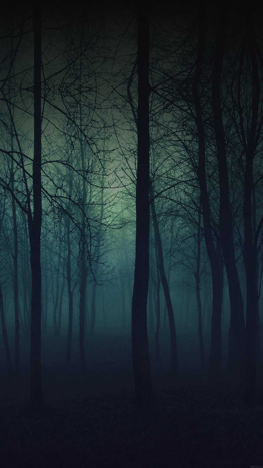 Forest Wallpapers (49 images) - WallpaperCat