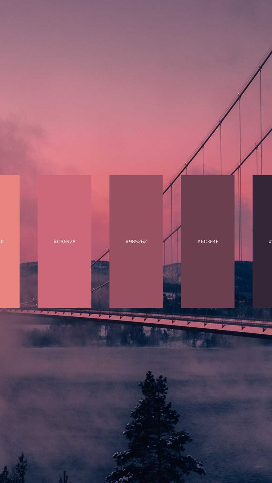 Color Palette Wallpapers (40 images) - WallpaperCat