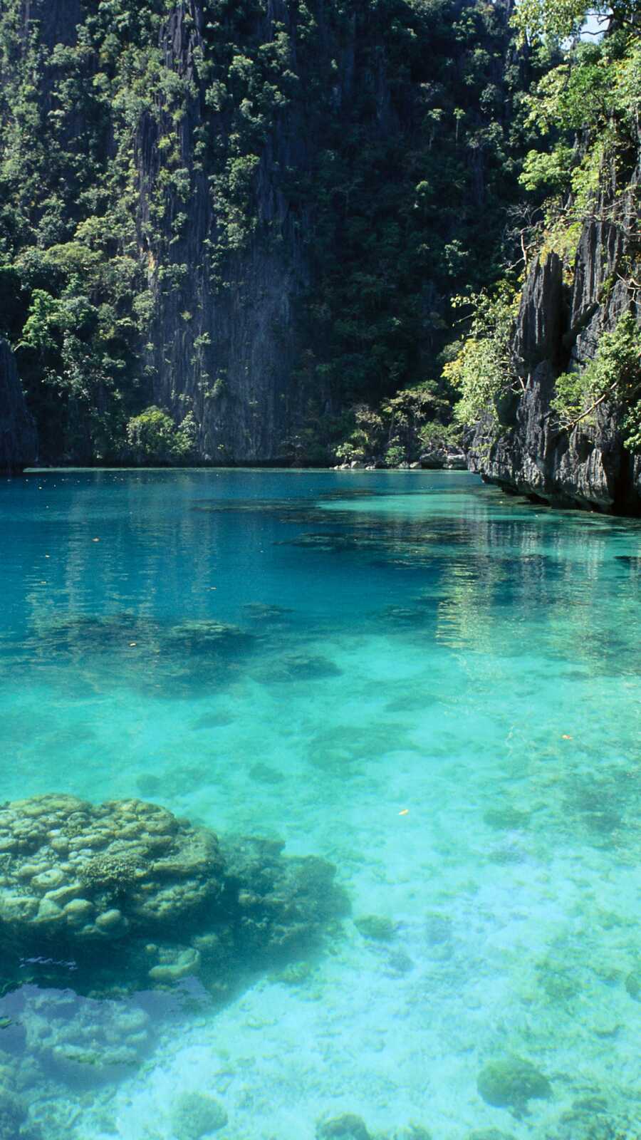 Palawan Wallpapers (76 images) - WallpaperCat