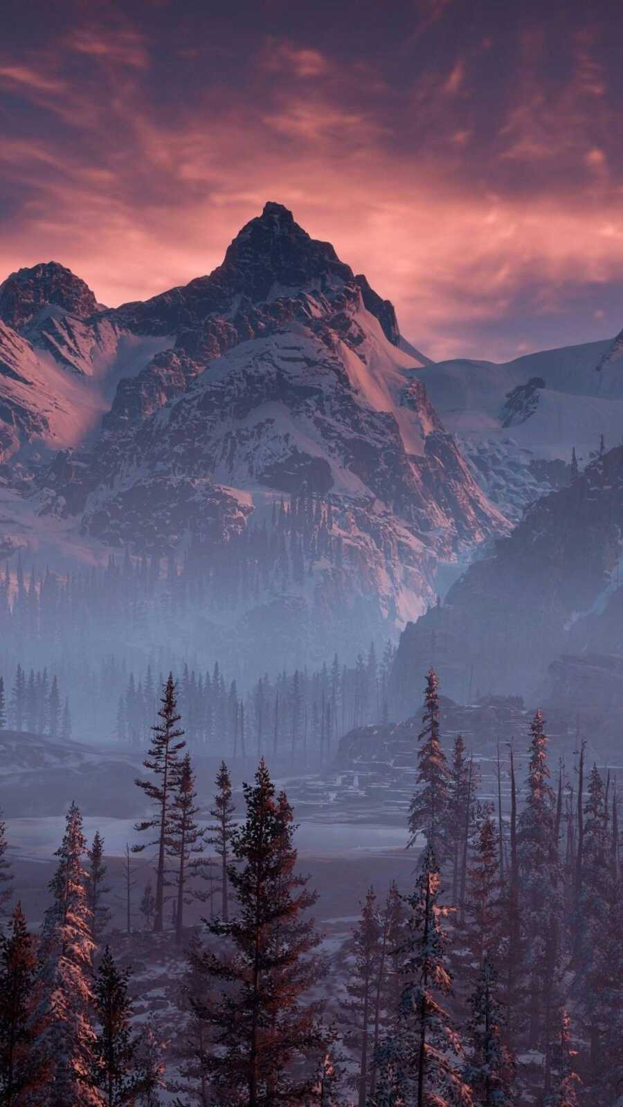 Pine Tree Wallpapers (80 images) - WallpaperCat