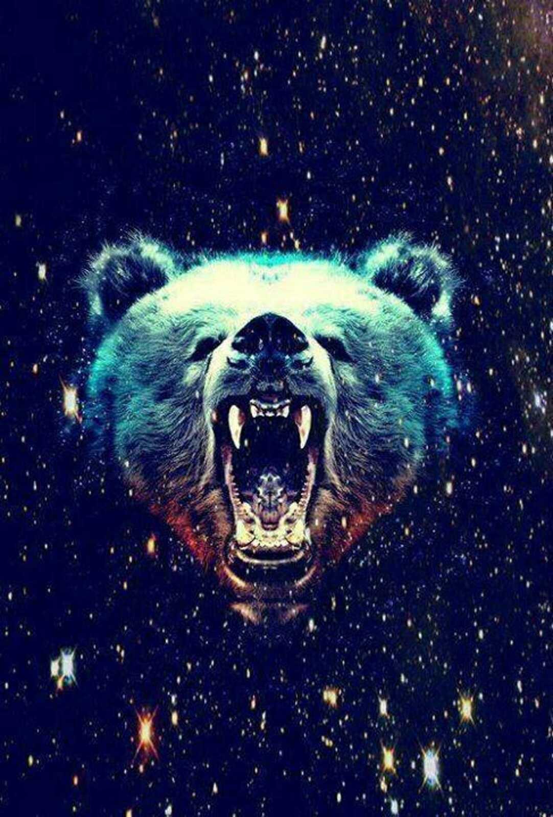 Bear Wallpapers (97 images) - WallpaperCat