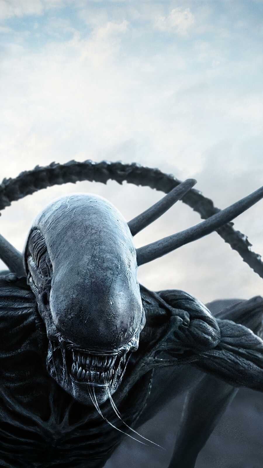 Alien (Movie) Wallpapers (26 images) - WallpaperCat