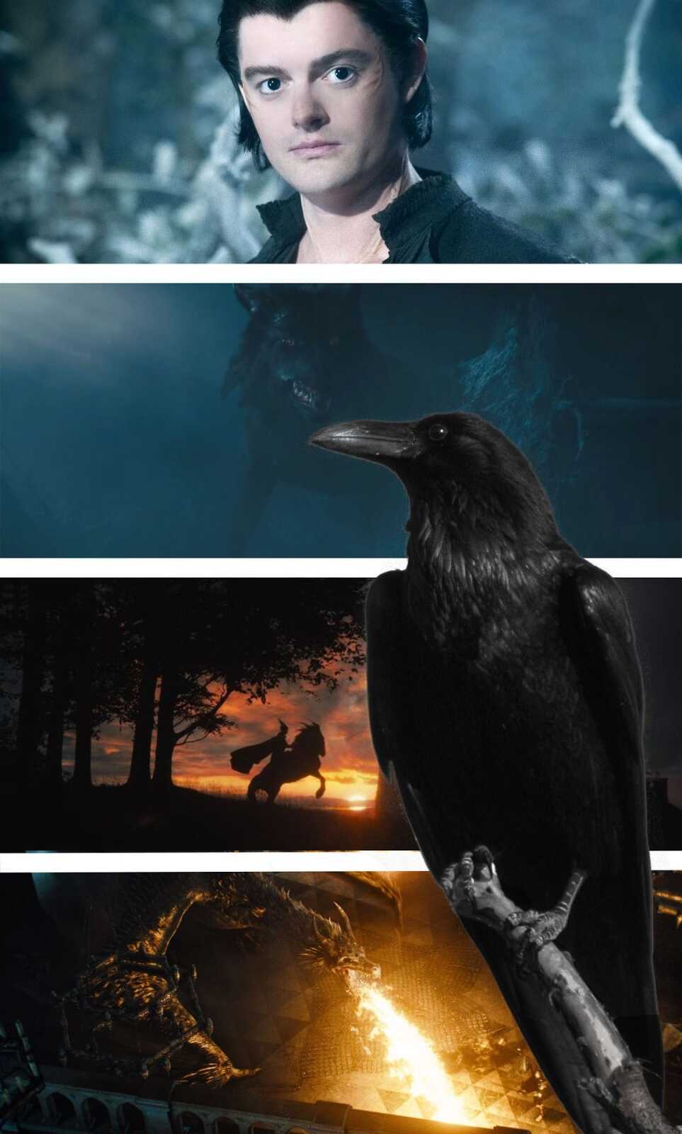 Diaval (Maleficent) Wallpapers (6 images) - WallpaperCat