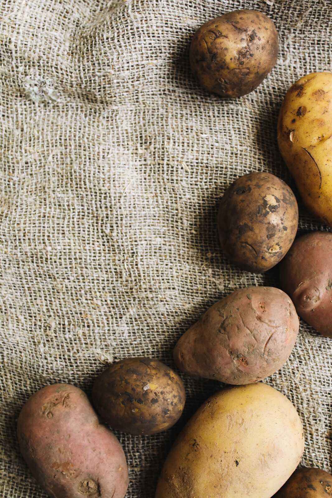 Potato Wallpapers (80 images) - WallpaperCat