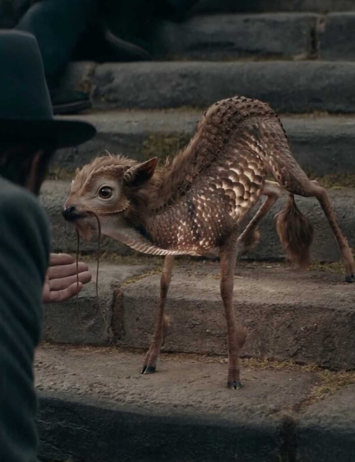 Qilin (Fantastic Beasts) Wallpapers (7 images) - WallpaperCat