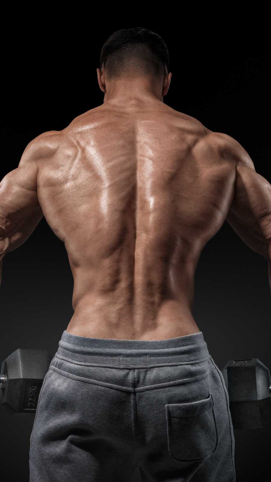 Bodybuilding Wallpapers (38 images) - WallpaperCat