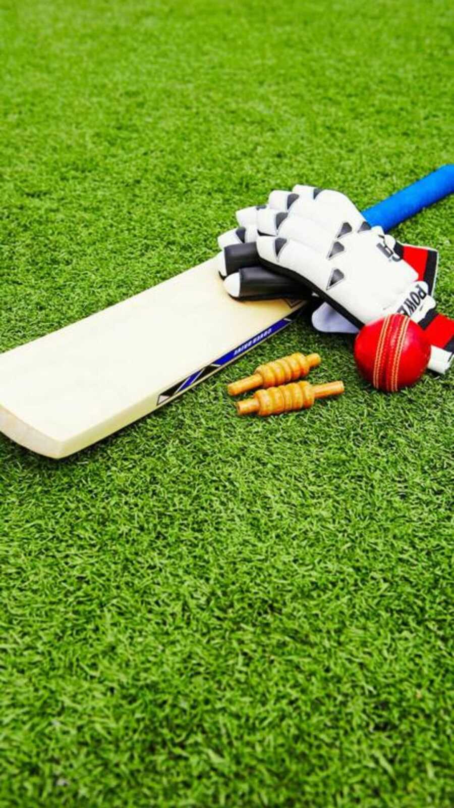 Cricket Wallpapers (47 images) - WallpaperCat