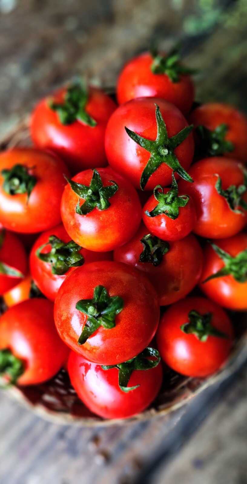 Tomato Wallpapers (70 images) - WallpaperCat