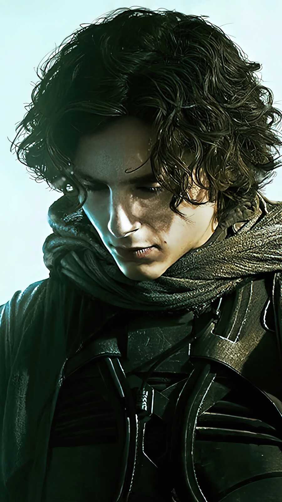 Paul Atreides Wallpapers (36 images) - WallpaperCat