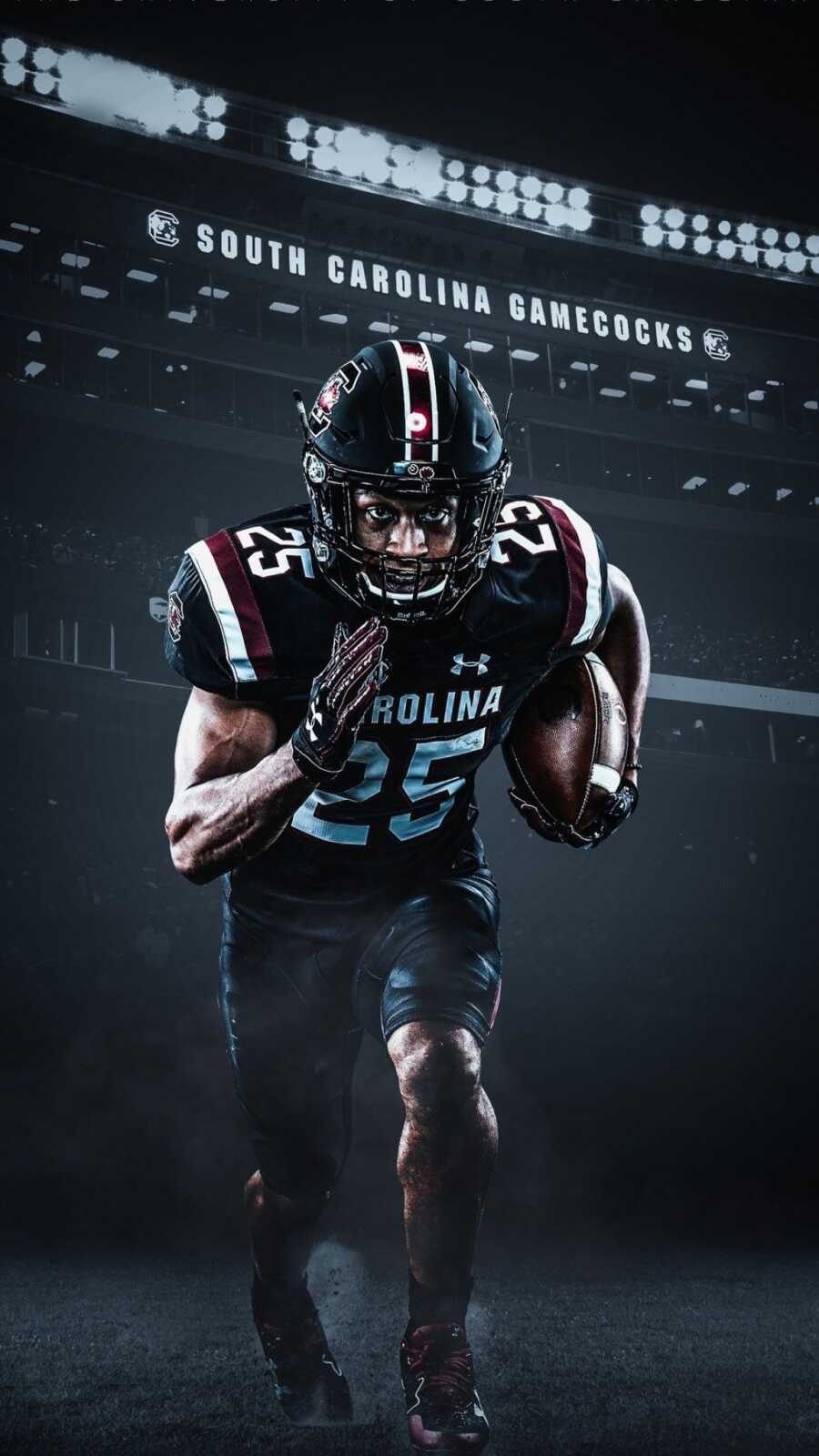 Gamecocks Wallpapers (31 images) - WallpaperCat