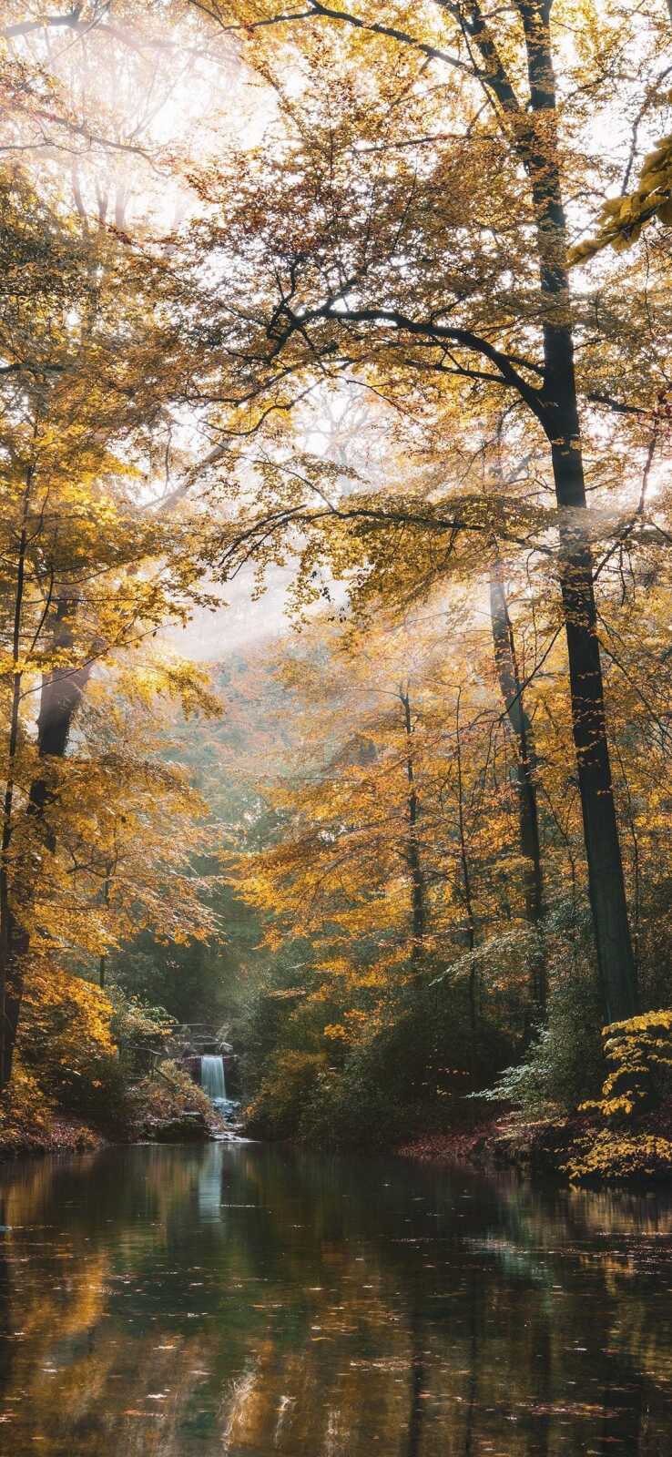 Landscape Wallpapers (55 images) - WallpaperCat