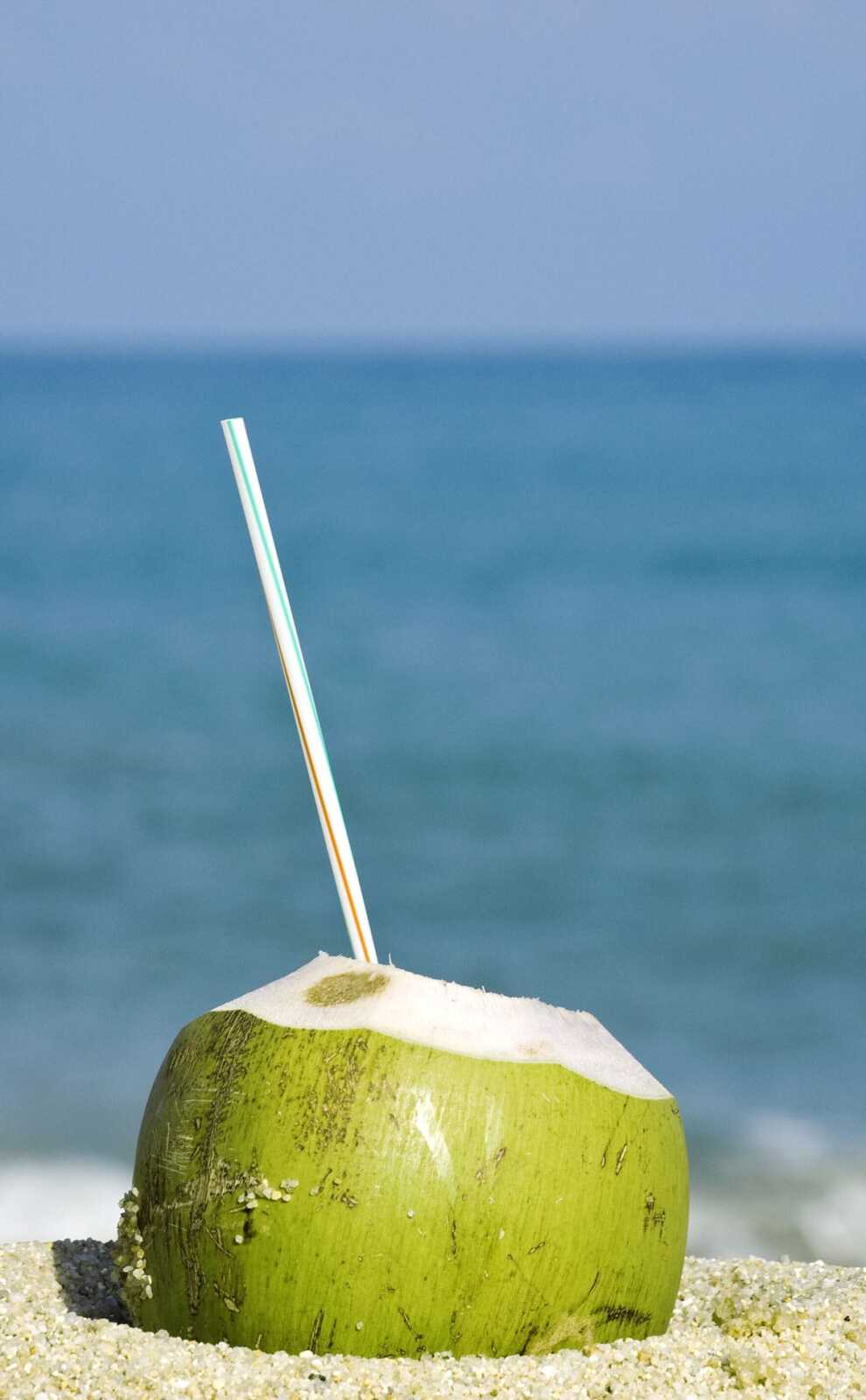 Coconut Wallpapers (46 images) - WallpaperCat