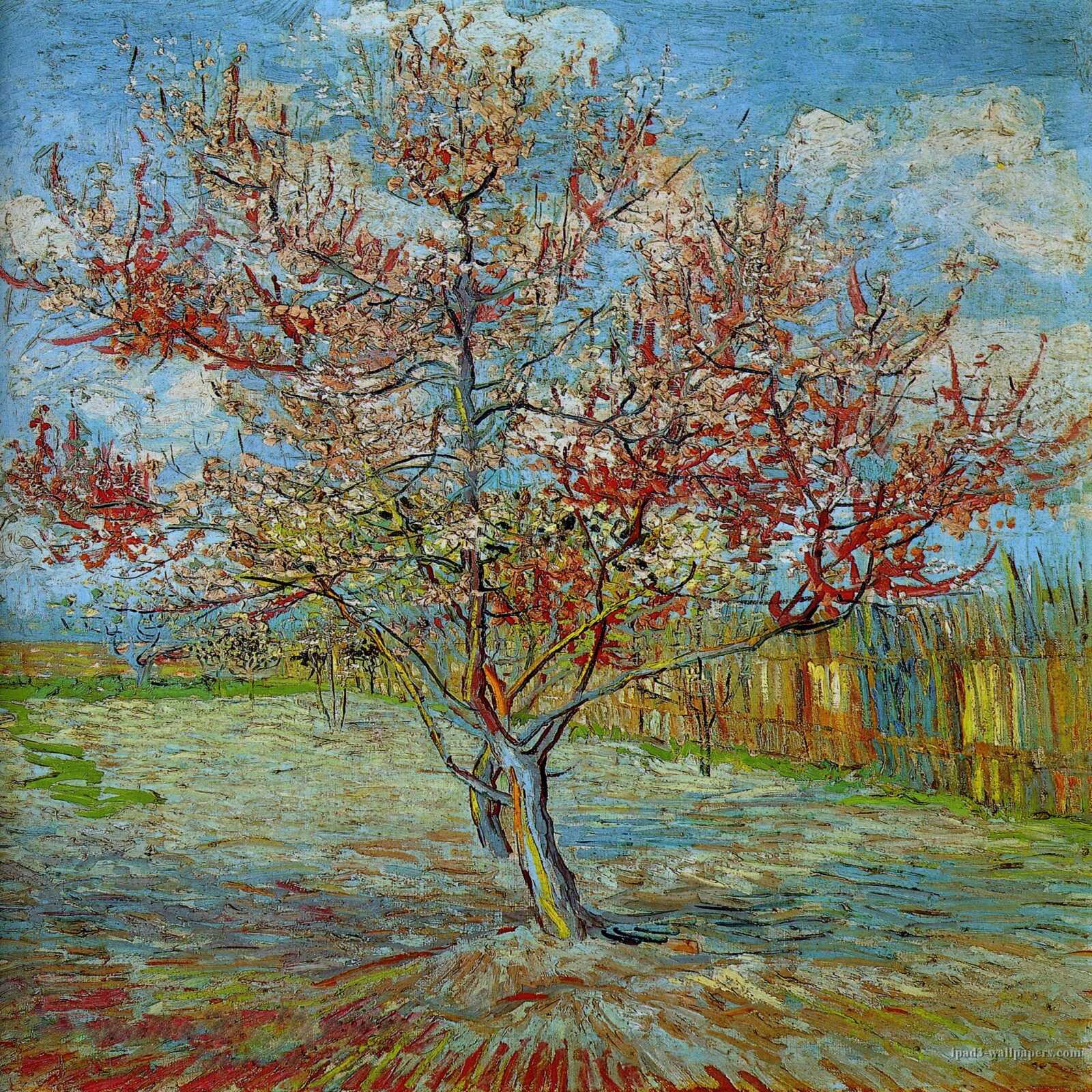 Vincent van Gogh Wallpapers (33 images) - WallpaperCat