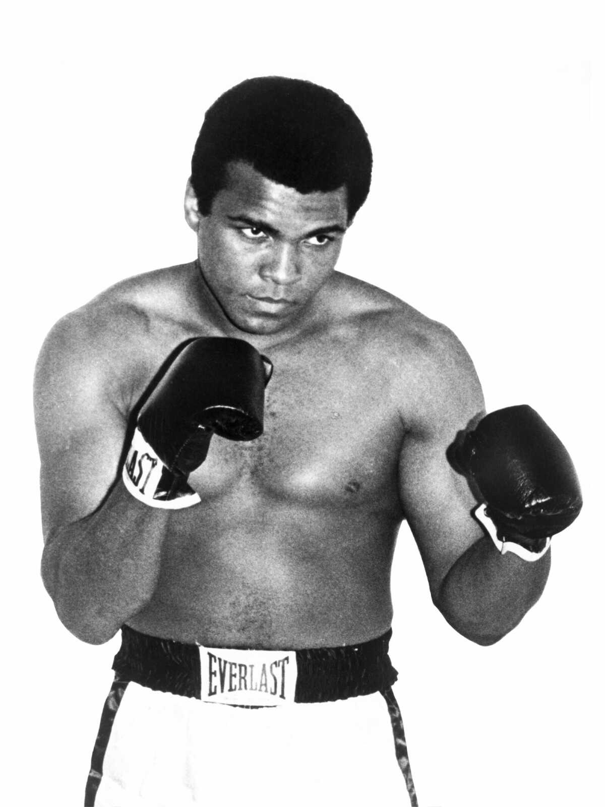 Muhammad Ali Wallpapers (18 images) - WallpaperCat